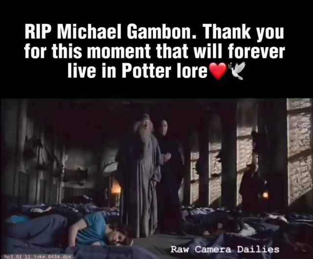 RIP Michael Gambon. Thank you for this moment that will forever live in ...