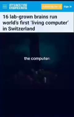 16 lab-grown brains run world's first 'living computer' in Switzerland ...