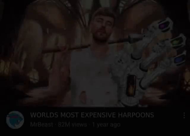 WORLDS MOST EXPENSIVE HARPOONS MrBeast - iFunny