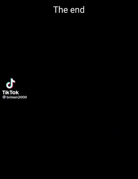The end of Tik Tok briman2000 - iFunny