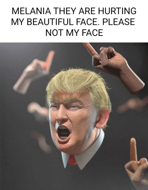 MELANIA THEY ARE HURTING MY BEAUTIFUL FACE. PLEASE NOT MY FACE ...