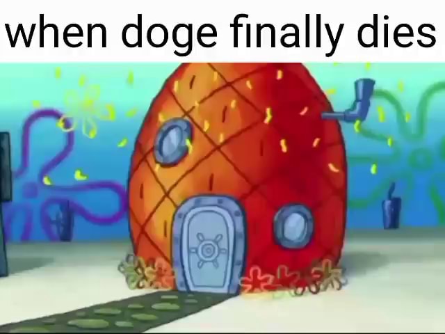When doge finally dies - iFunny