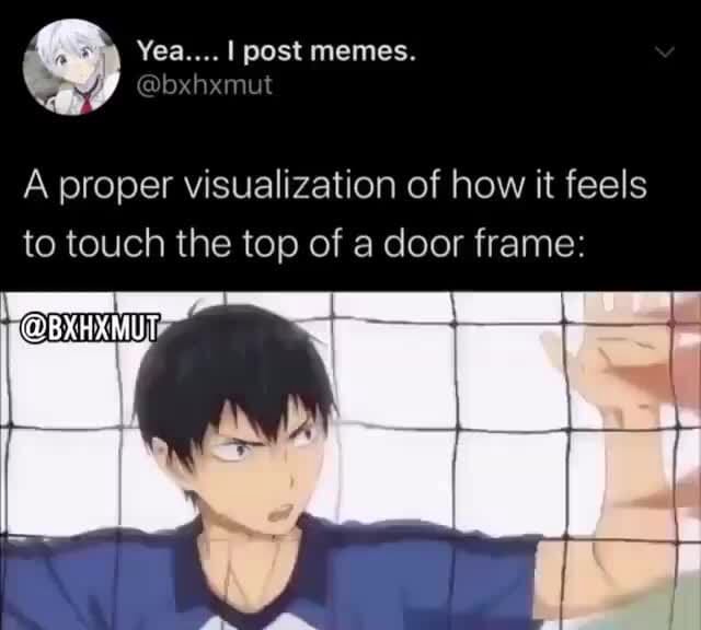 Yea.... I post memes. A proper visualization of how it feels to touch ...