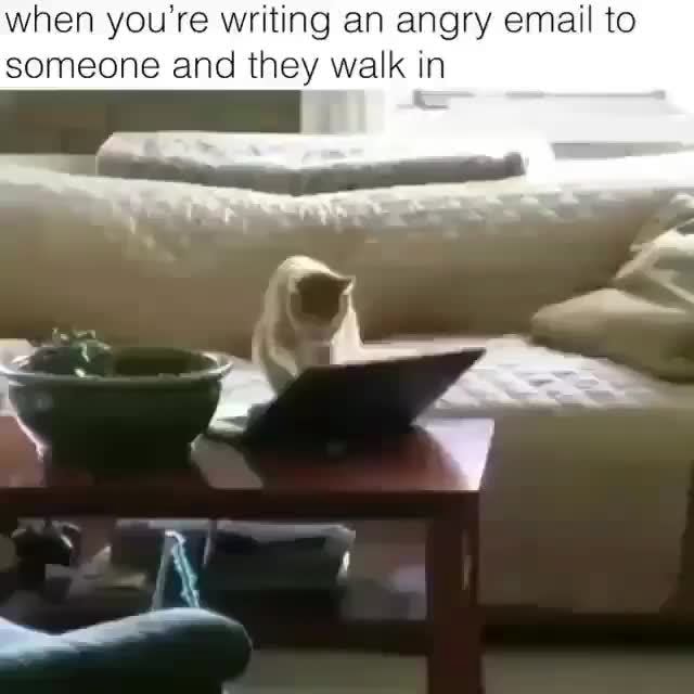 When you’re writing an angry email to someone and they walk in - iFunny
