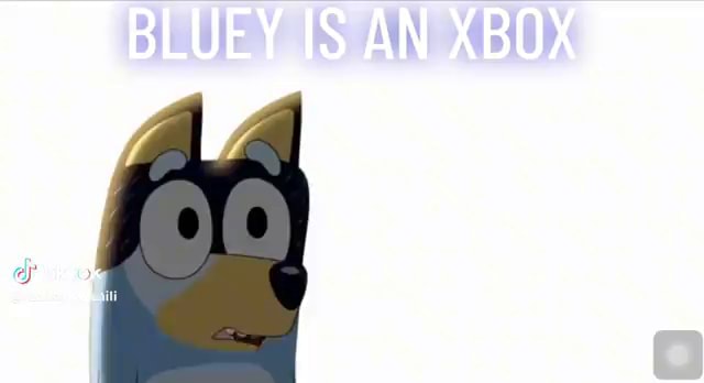 BLUEY IS AN XBOX - iFunny