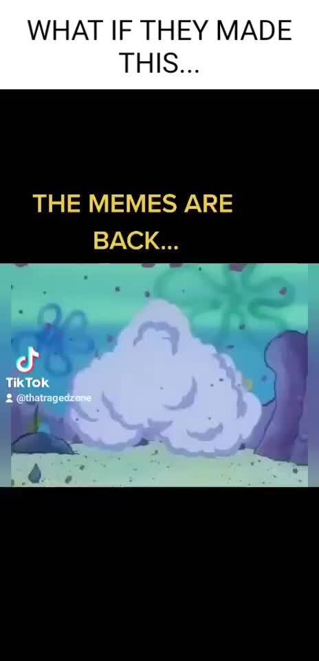 WHAT IF THEY MADE THIS... THE MEMES ARE BACK... TikTok - iFunny