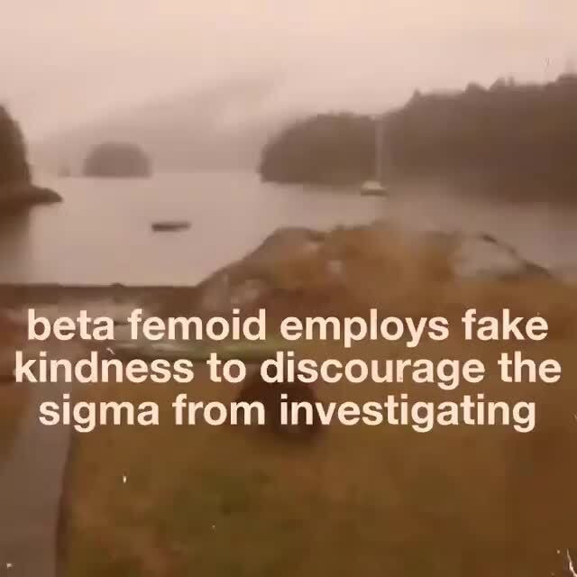 Beta femoid employs fake kindness to discourage the sigma from ...