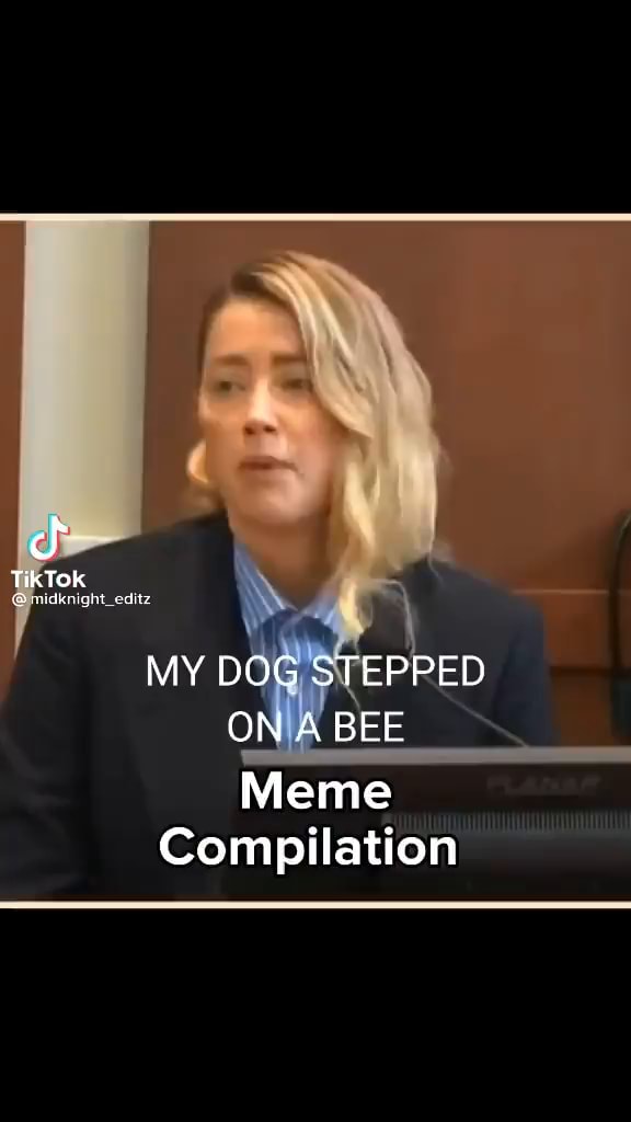 TikTok MY DOG STEPPED ON A BEE Meme Compilation - iFunny