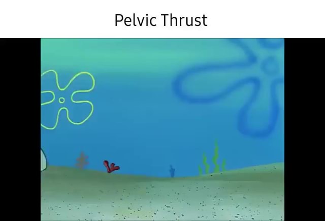 Pelvic Thrust - iFunny
