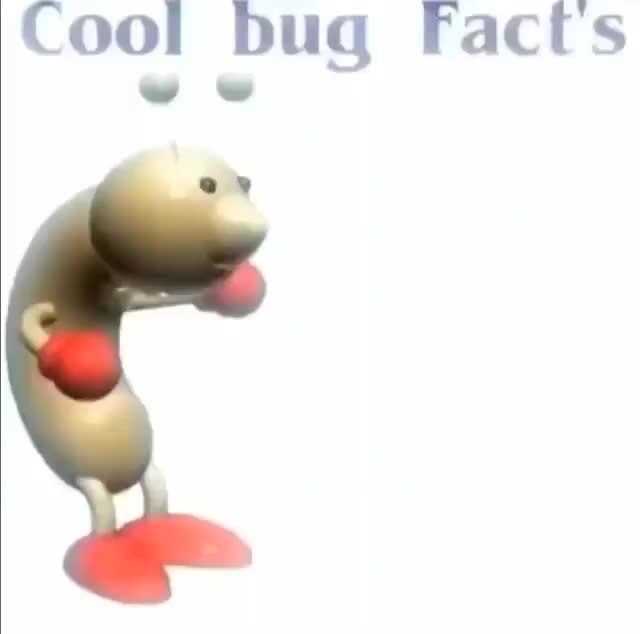 Cool Dug Facts - iFunny