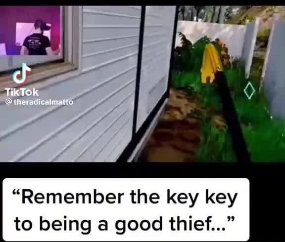 "Remember the key key to being a good thief..." - iFunny