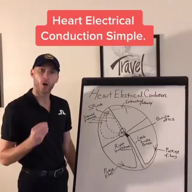 Heart Electrical Conduction Simple - iFunny