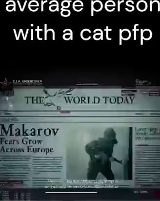 Average Person with a cat pfp Gi Gi - iFunny