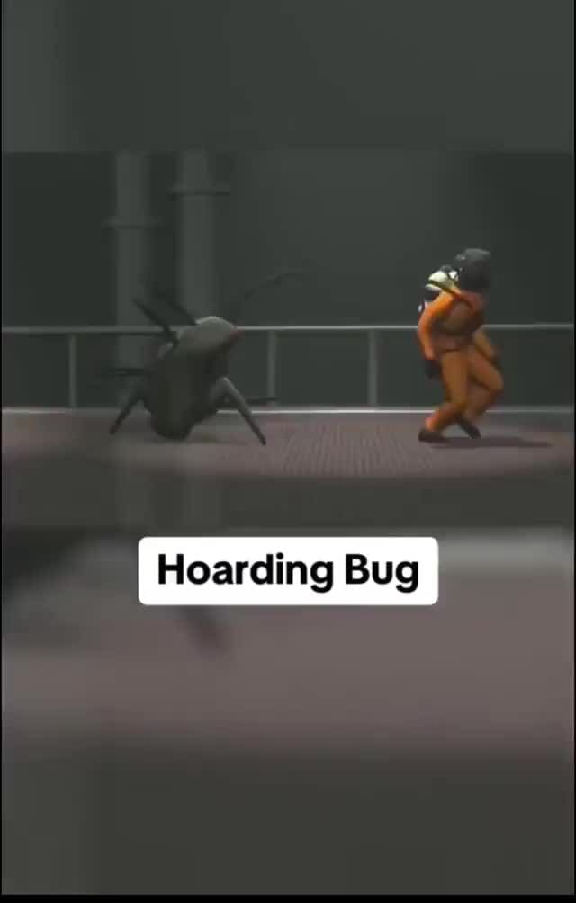 Hoarding Bug - iFunny