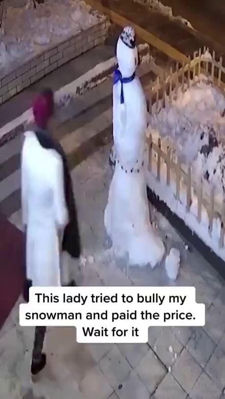 This lady tried to bully my snowman and paid the price. Wait for it ...