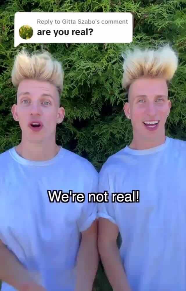 Reply to Gitta Szabo's comment reall? We're not real! - iFunny