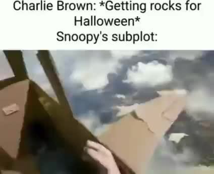 Charlie Brown: *Getting rocks for Halloween* Snoopy's subplot: - iFunny