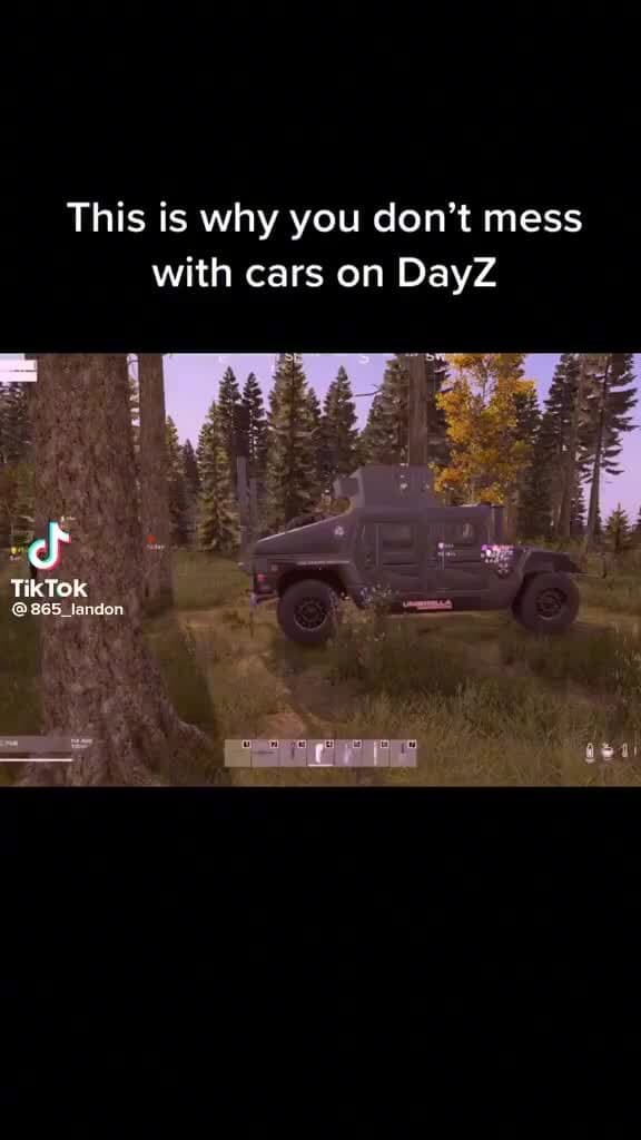 This is why you don't mess with cars on DayZ TikTok @865_landon - iFunny