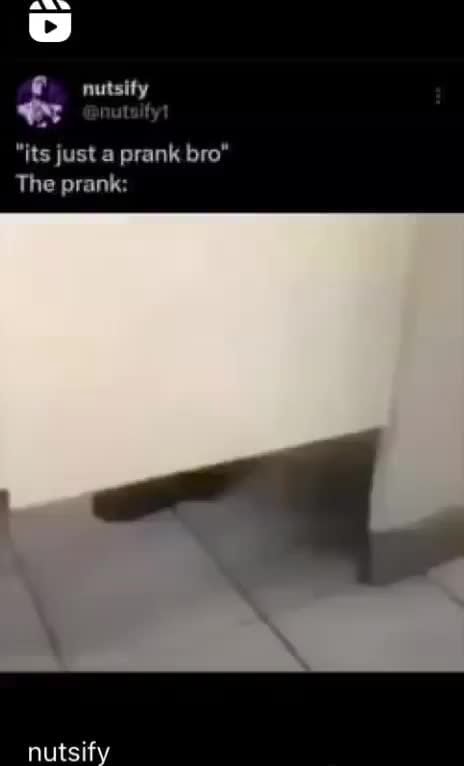 Its just a prank bro" The prank: - iFunny