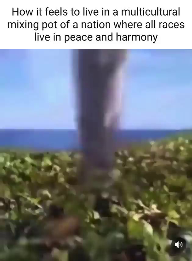 How it feels to live in a multicultural mixing pot of a nation where ...