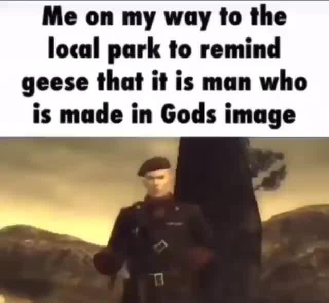 Me on my way to the local park to remind geese that it is man who is ...