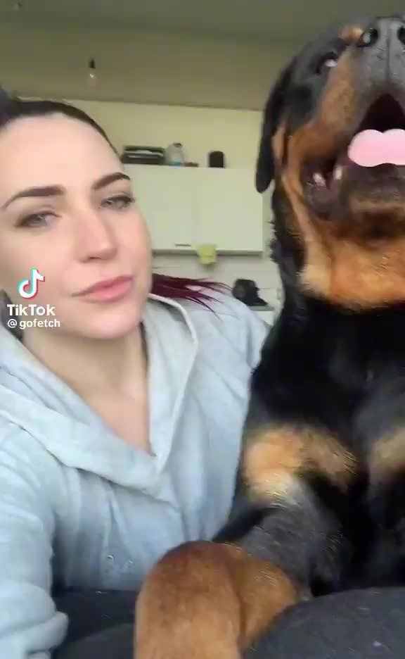 Video memes LZ6yTvGdA by THE_PSYCHO_WOLF_: 1 comment - iFunny