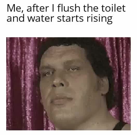 Me, after I flush the toilet and water starts rising - iFunny