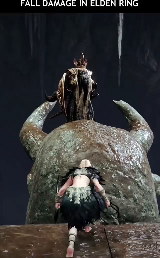 FALL DAMAGE IN ELDEN RING - iFunny