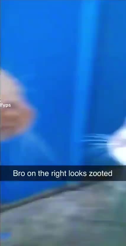 Bro on the right looks zooted - iFunny