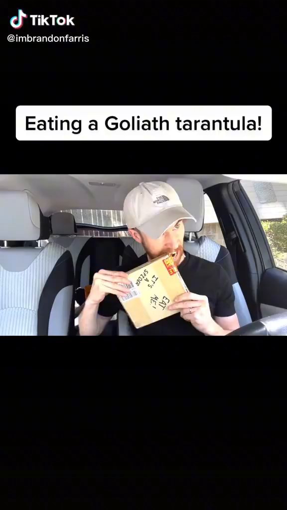 TikTok @imbrandonfarris Eating a Goliath tarantula! - iFunny