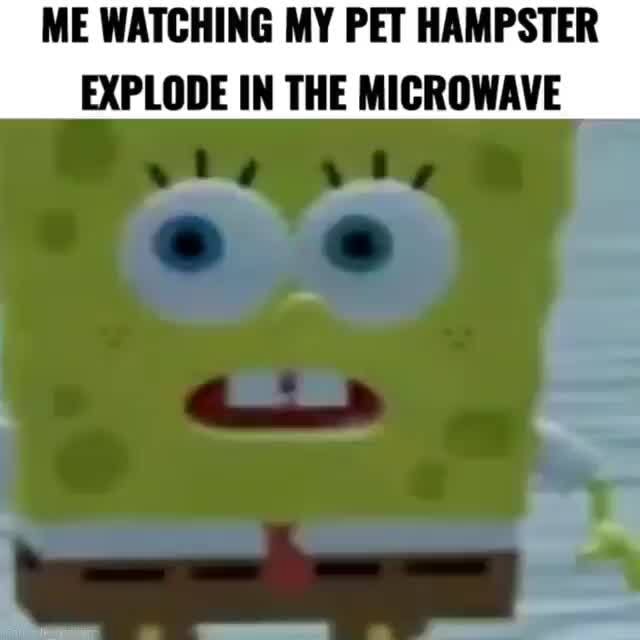 ME WATCHING MY PET HAMPSTER EXPLODE IN THE MICROWAVE - iFunny