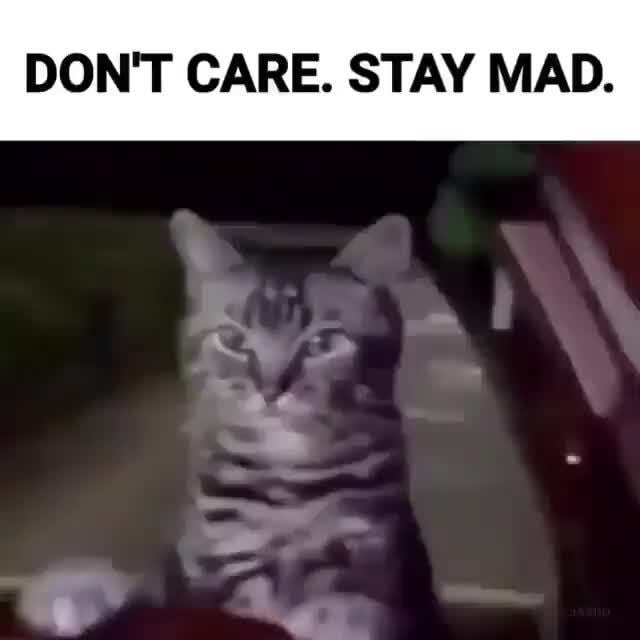 DON'T CARE. STAY MAD. - iFunny