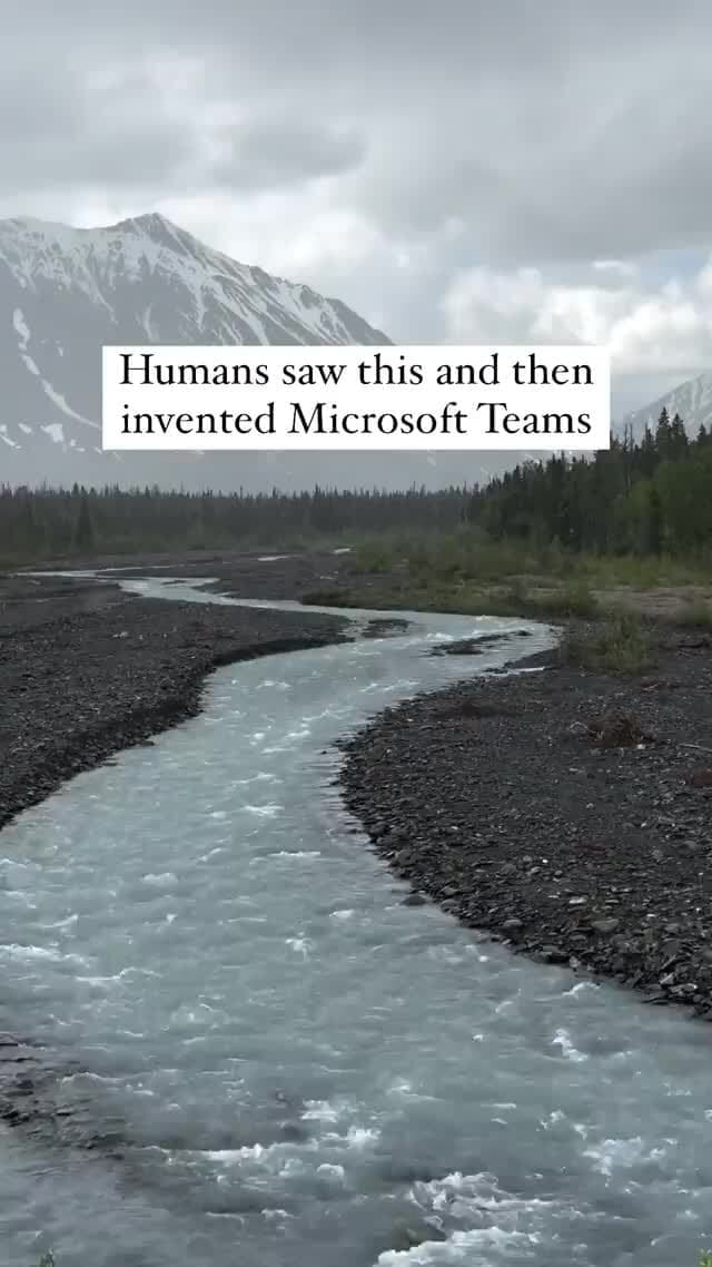 Humans saw this and then invented Microsoft Teams - iFunny
