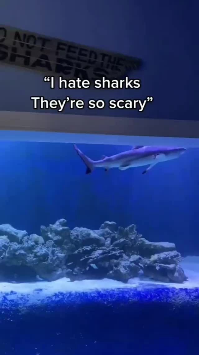 "I hate sharks re so scary" They - iFunny