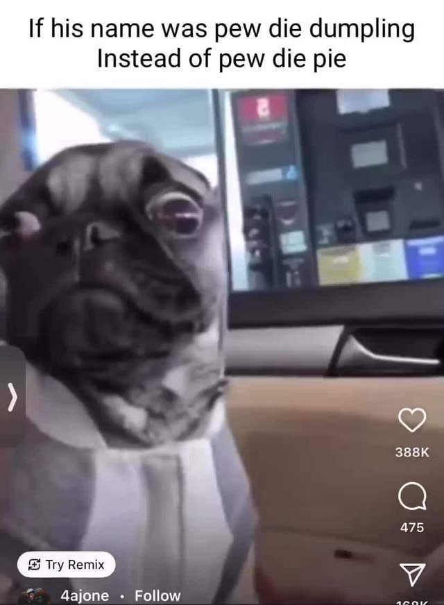 If his name was pew die dumpling Instead of pew die pie I I 388K 4ajone ...