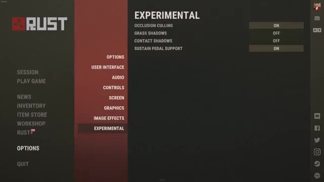 RUST OPTIONS USER INTERFACE AUDIO CONTROLS SCREEN GRAPHICS IMAGE ...