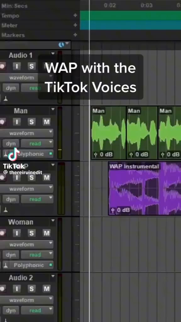 Er Audio 1 WAP with the I TikTok Voices Man Man Man S M waveform dyn ...