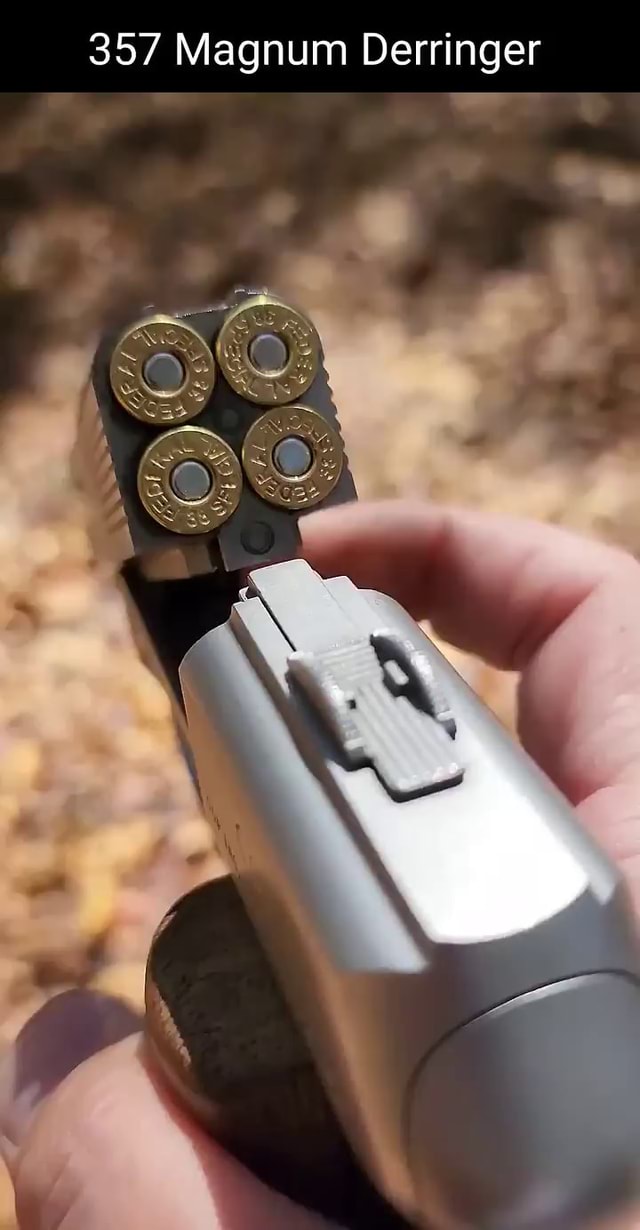 357 Magnum Derringer - iFunny