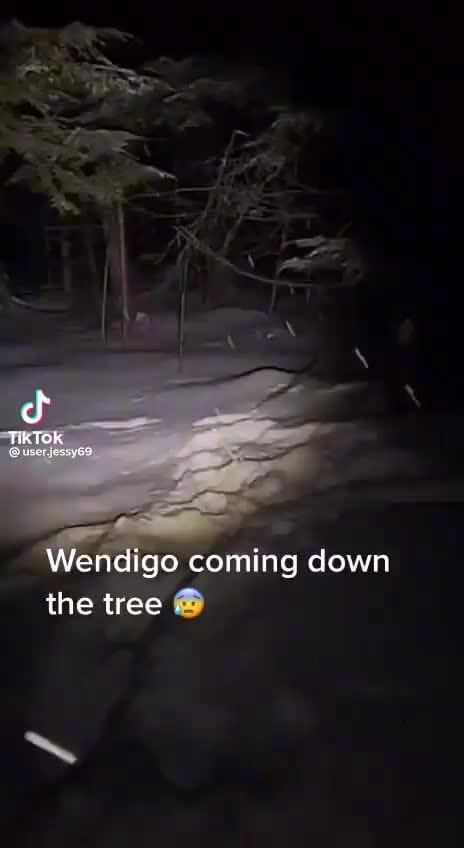 I TikTok Wendigo coming down the tree - iFunny
