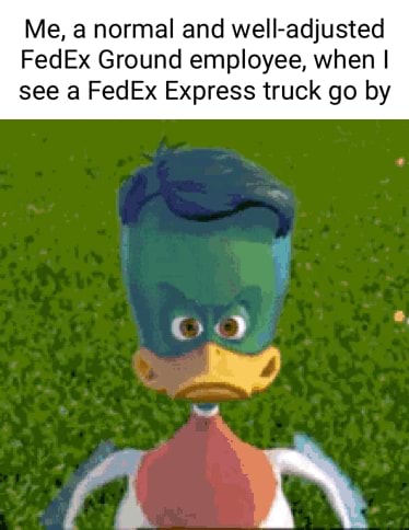 Me, a normal and well-adjusted FedEx Ground employee, when I see a ...
