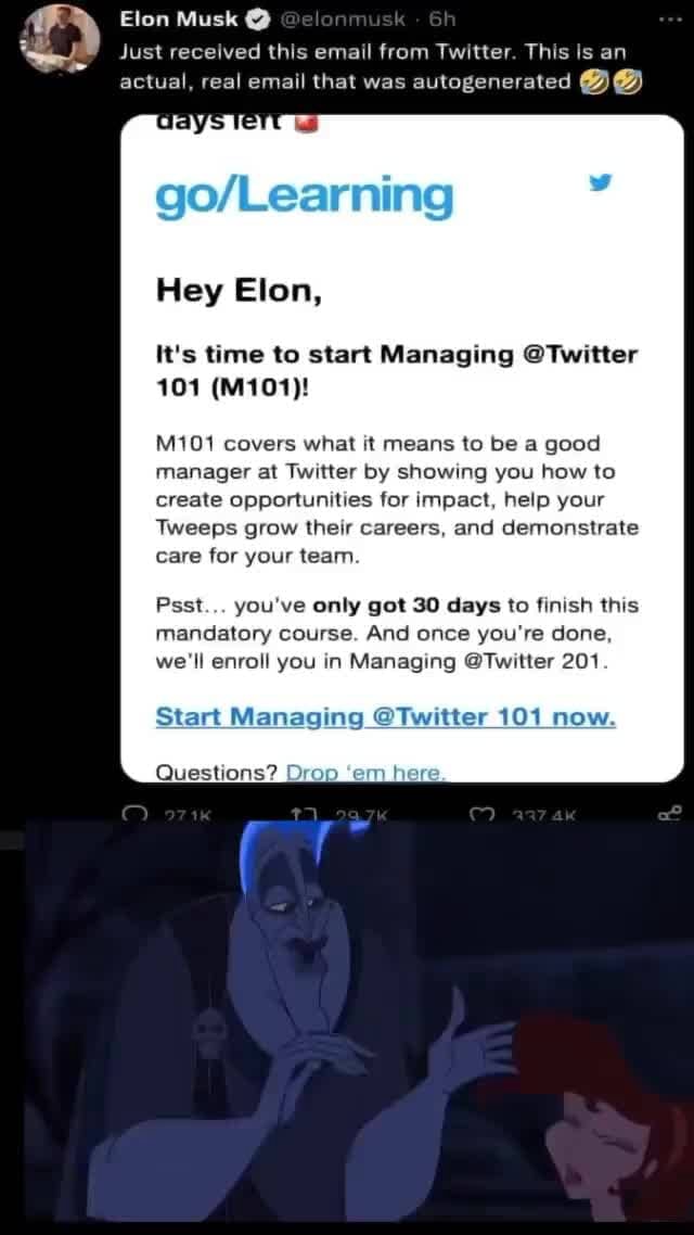 Elon Musk @ @e Just received this email from Twitter. This is an actual ...