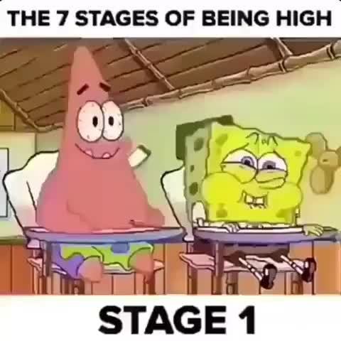 THE 7 STAGES OF BEING HIGH - iFunny