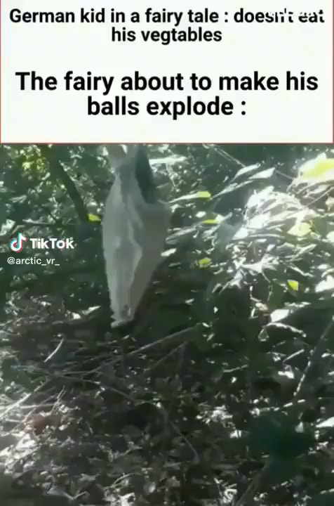 German kid in a fairy tale : does his vegtables The fairy about to make ...