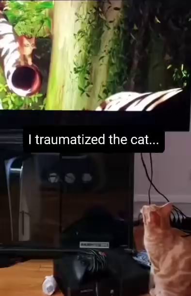 I traumatized the cat - iFunny