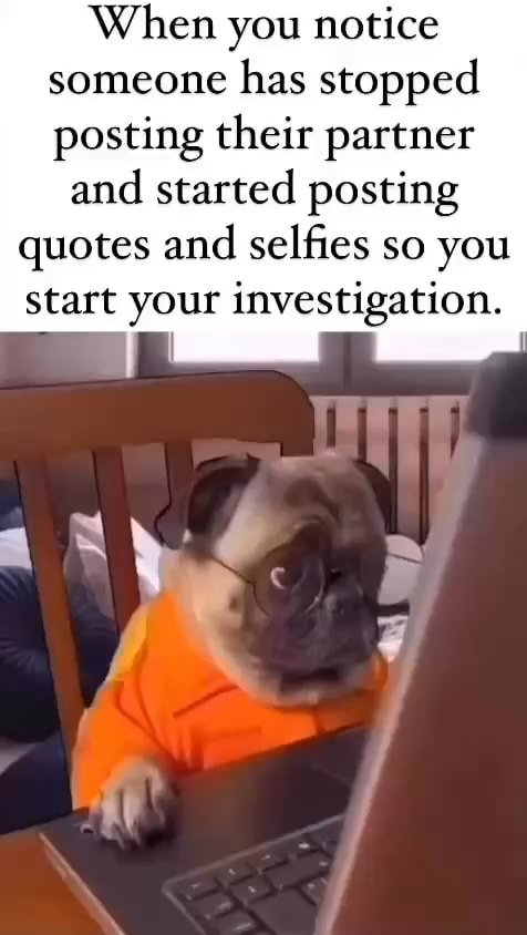 When you notice someone has stopped posting their partner and started ...