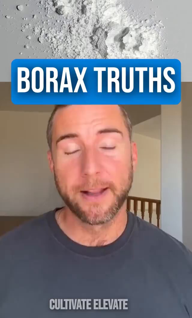 BORAX TRUTHS CULTIVATE ELEVATE - iFunny