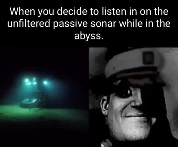 When you decide to listen in on the unfiltered passive sonar while in ...