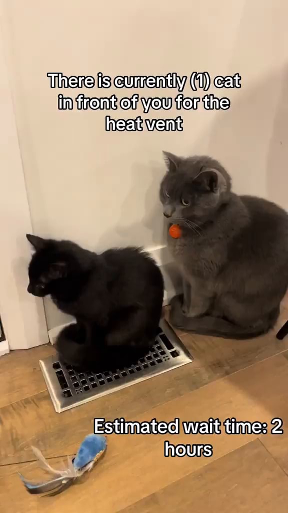 There is currently (1) cat in front of you for the heat vent Estimated ...
