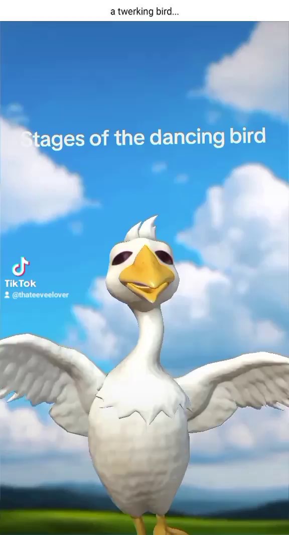 A twerking bird... ages of the dancing bird - iFunny