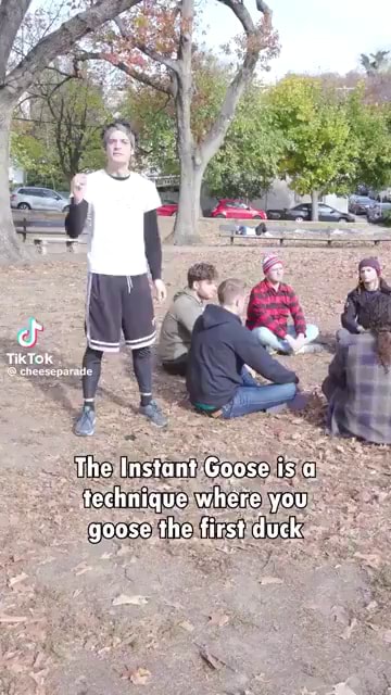 Instant Goose Rule - Instant Goose Rule TikTok The Instant Goose is a technique where you goose ...